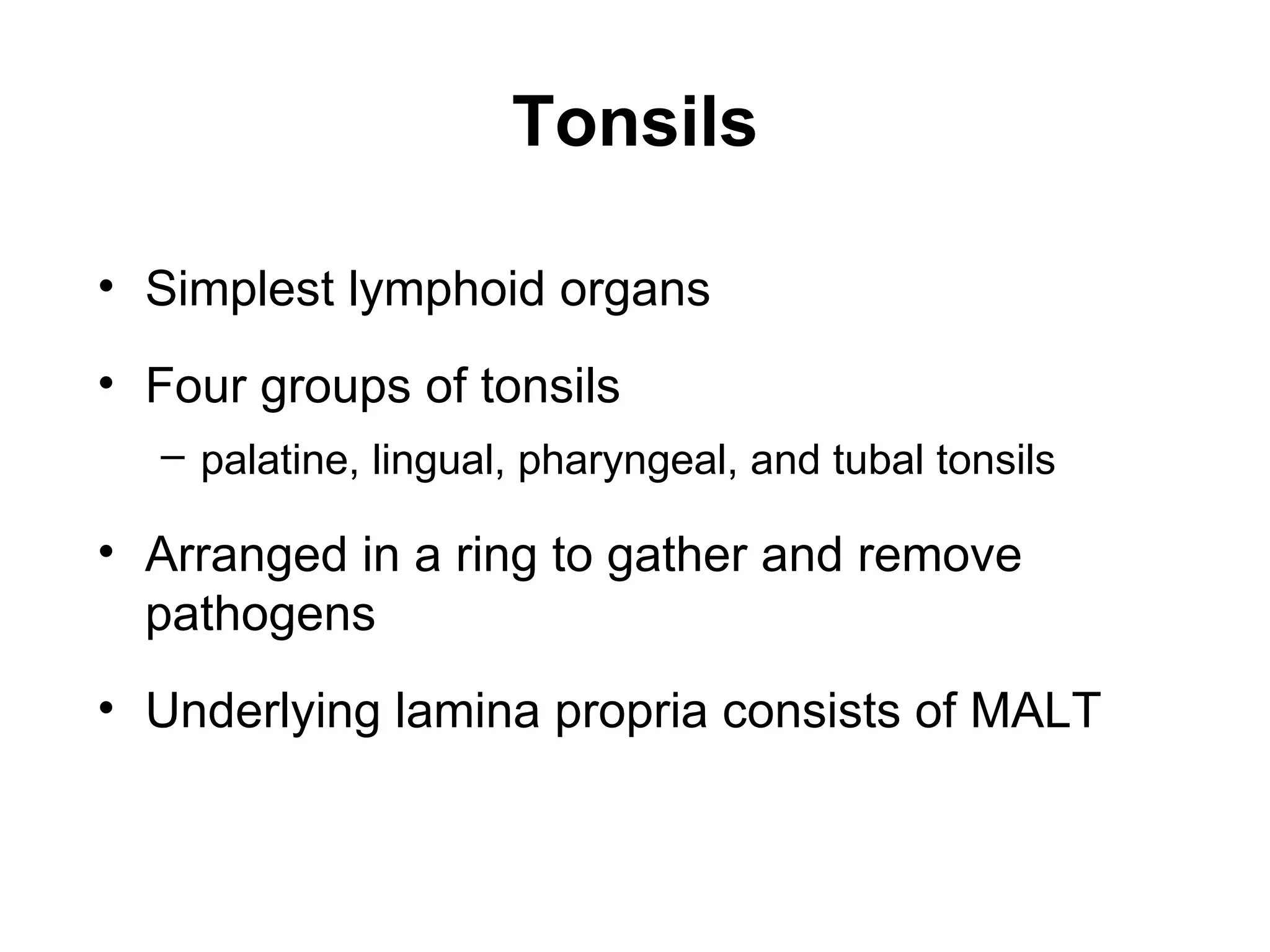 Lymphatic and immune system | PPT