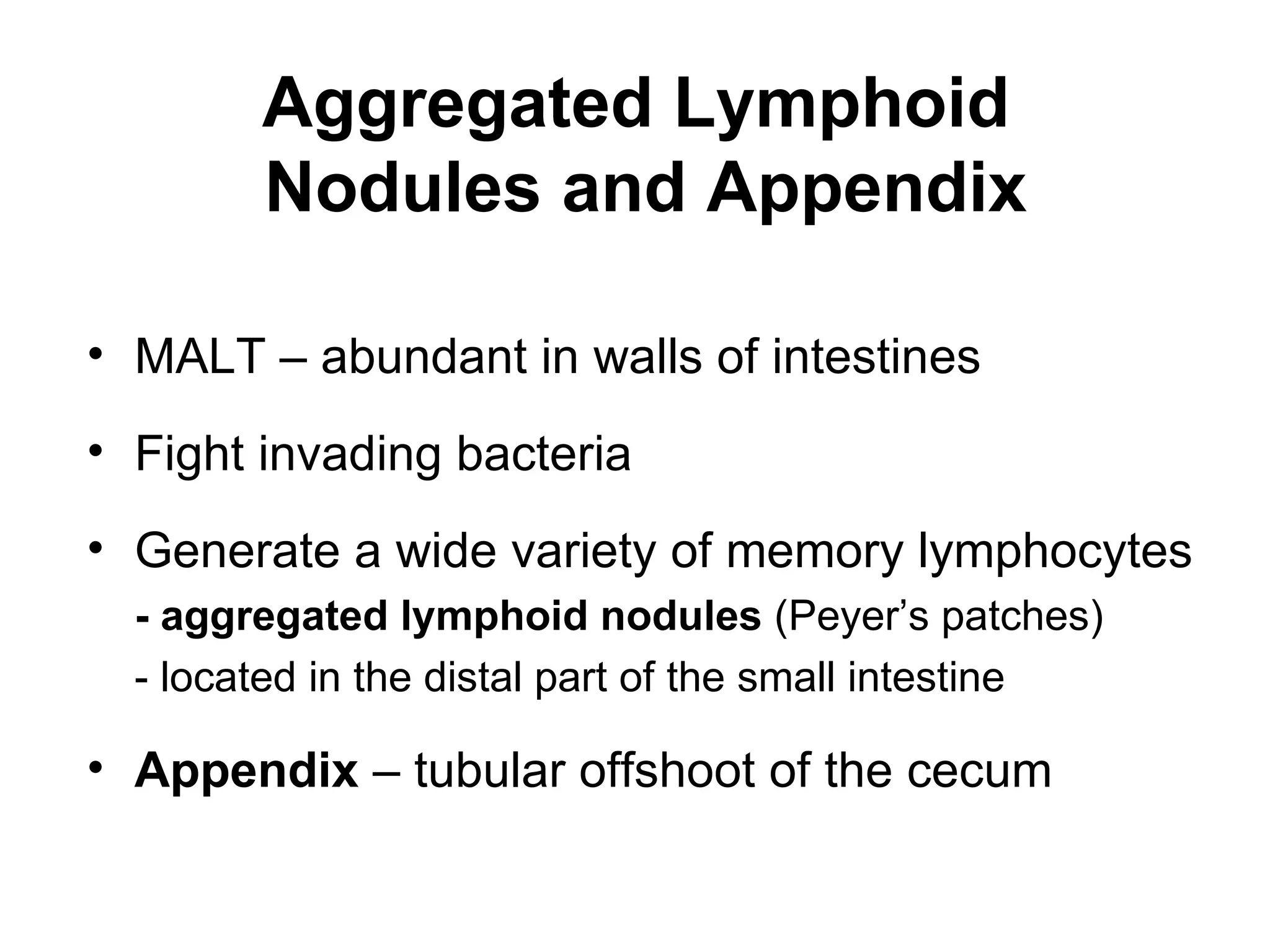 Lymphatic and immune system | PPT