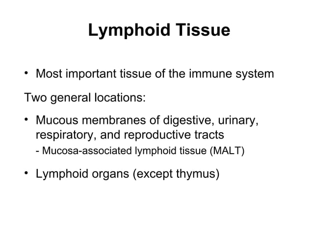 Lymphatic and immune system | PPT