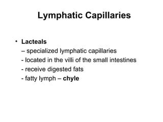 Lymphatic and immune system | PPT