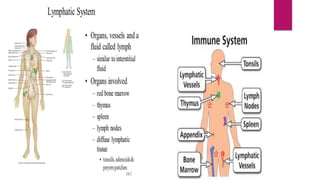 Lymphatic and immune system | PPTX