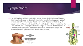 Lymphatic and immune system | PPTX