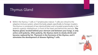 Lymphatic and immune system | PPTX