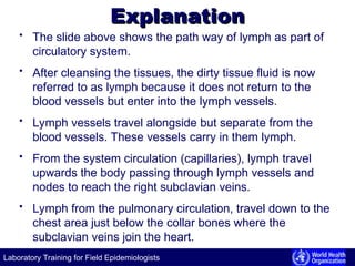 Lymphatic and Immune systems.powerpoint presentation | PPT