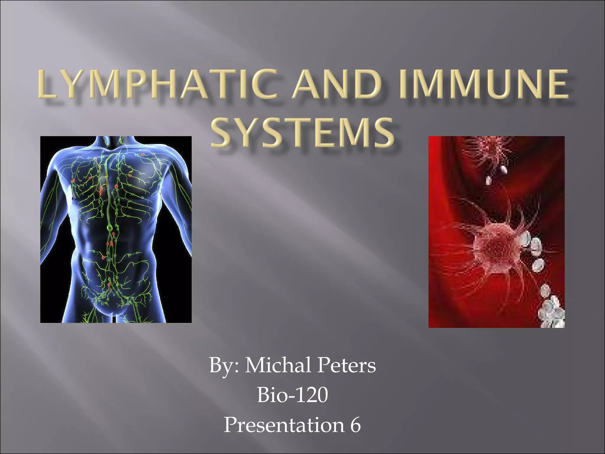 Lymphatic and immune systems presentation for chapter 6 | PPT