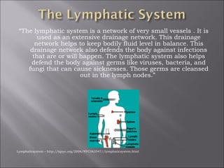 Lymphatic and immune systems presentation for chapter 6 | PPT
