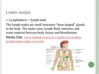 Lymphatic and immune systems | PPT