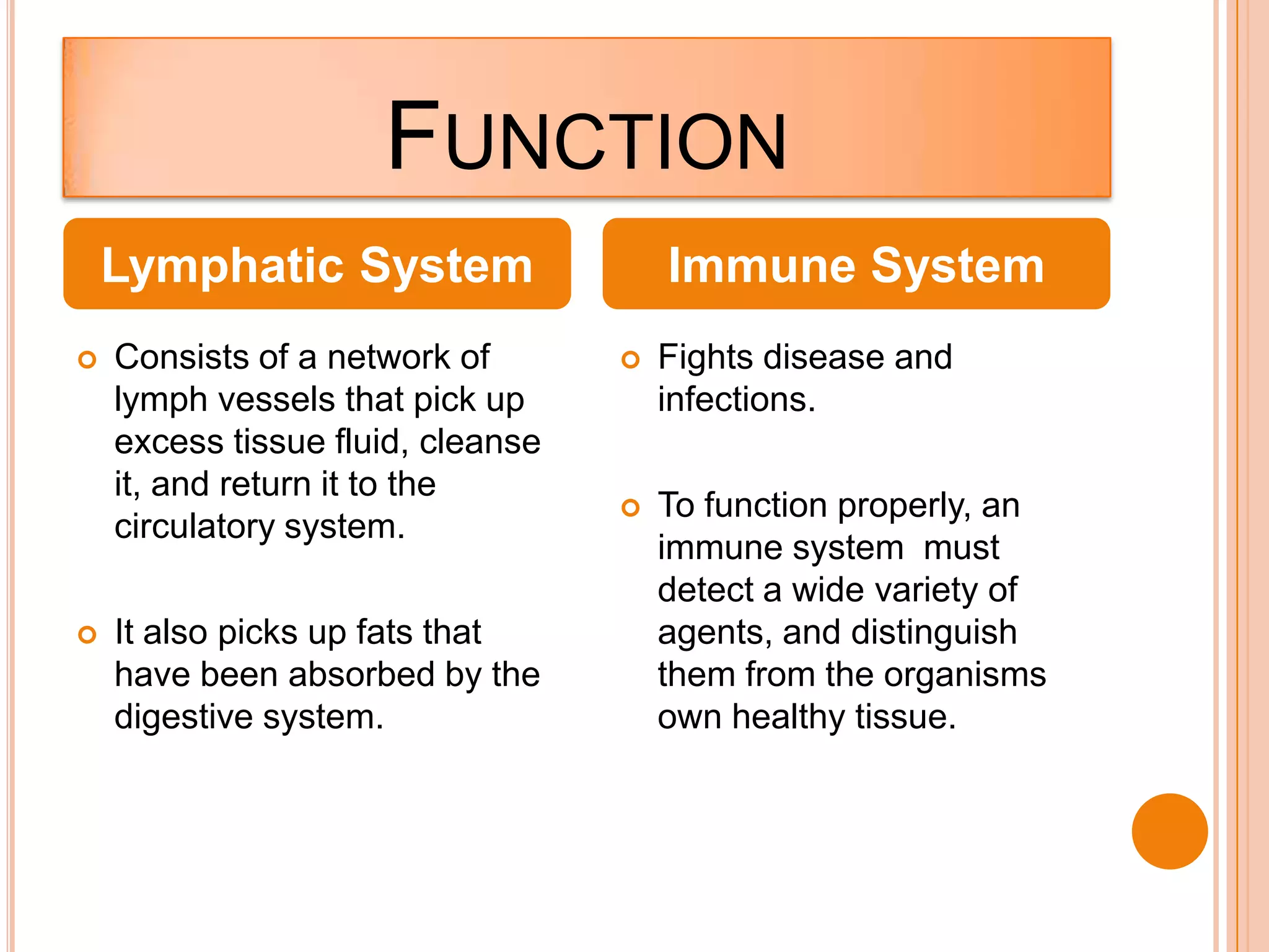 Lymphatic and Immune System terms | PPTX | Ear, Nose and Throat ...