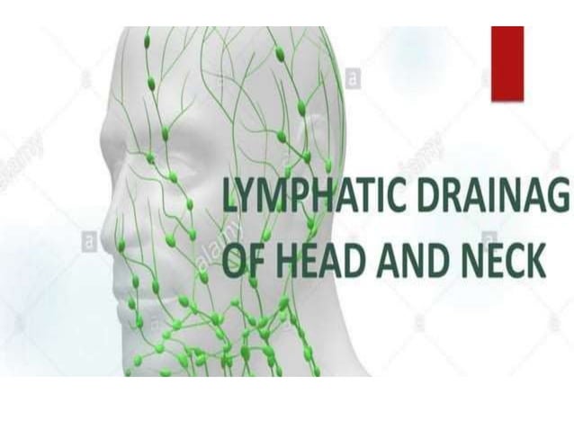 LYMPHATIC DRAINAGE OF HEAD AND NECK | PPT