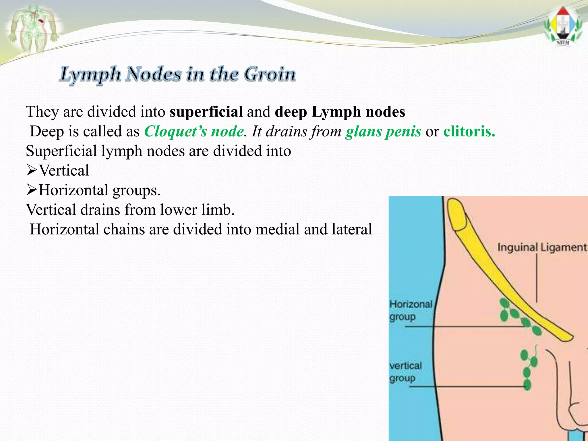Lymphatic Drainage of whole Body by Faisal Azmi | PPTX
