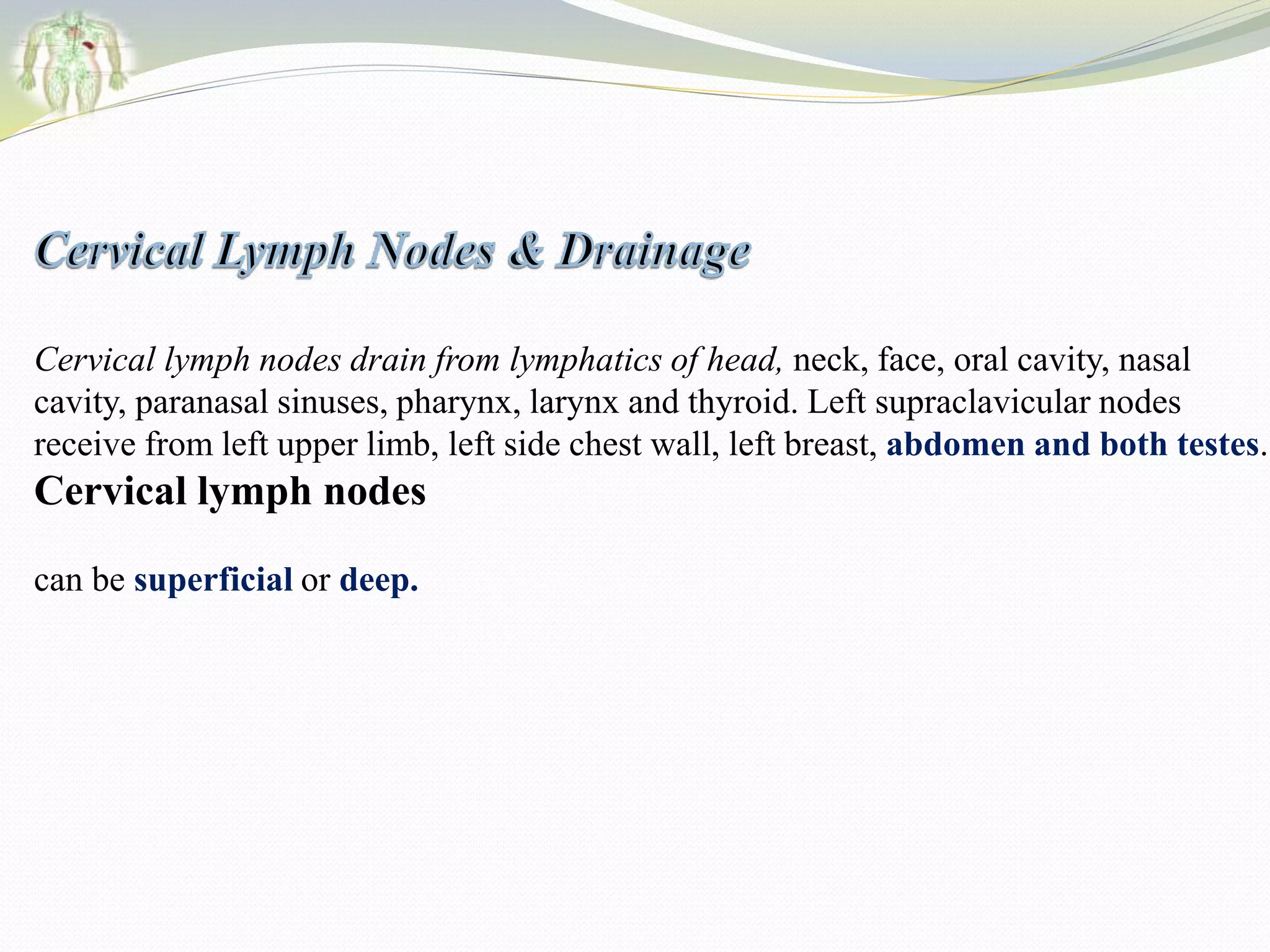 Lymphatic Drainage of whole Body by Faisal Azmi | PPTX