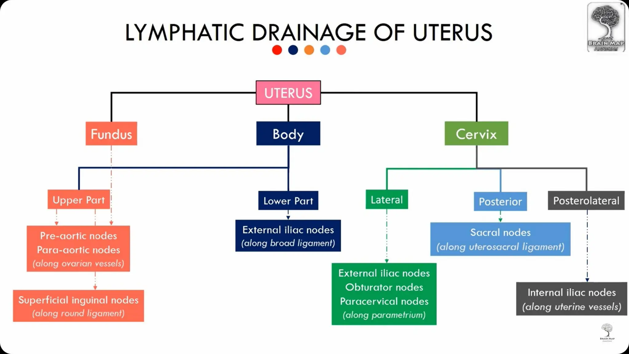 Lymphatic drainage of female genital tract.pptx