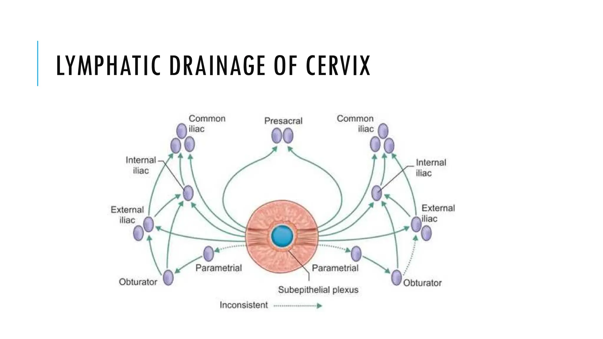 Lymphatic drainage of female genital tract.pptx