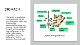 LYMPHATIC DRAINAGE OF GIT.pdf