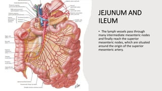 LYMPHATIC DRAINAGE OF GIT.pdf
