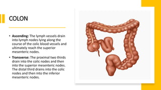 LYMPHATIC DRAINAGE OF GIT.pdf