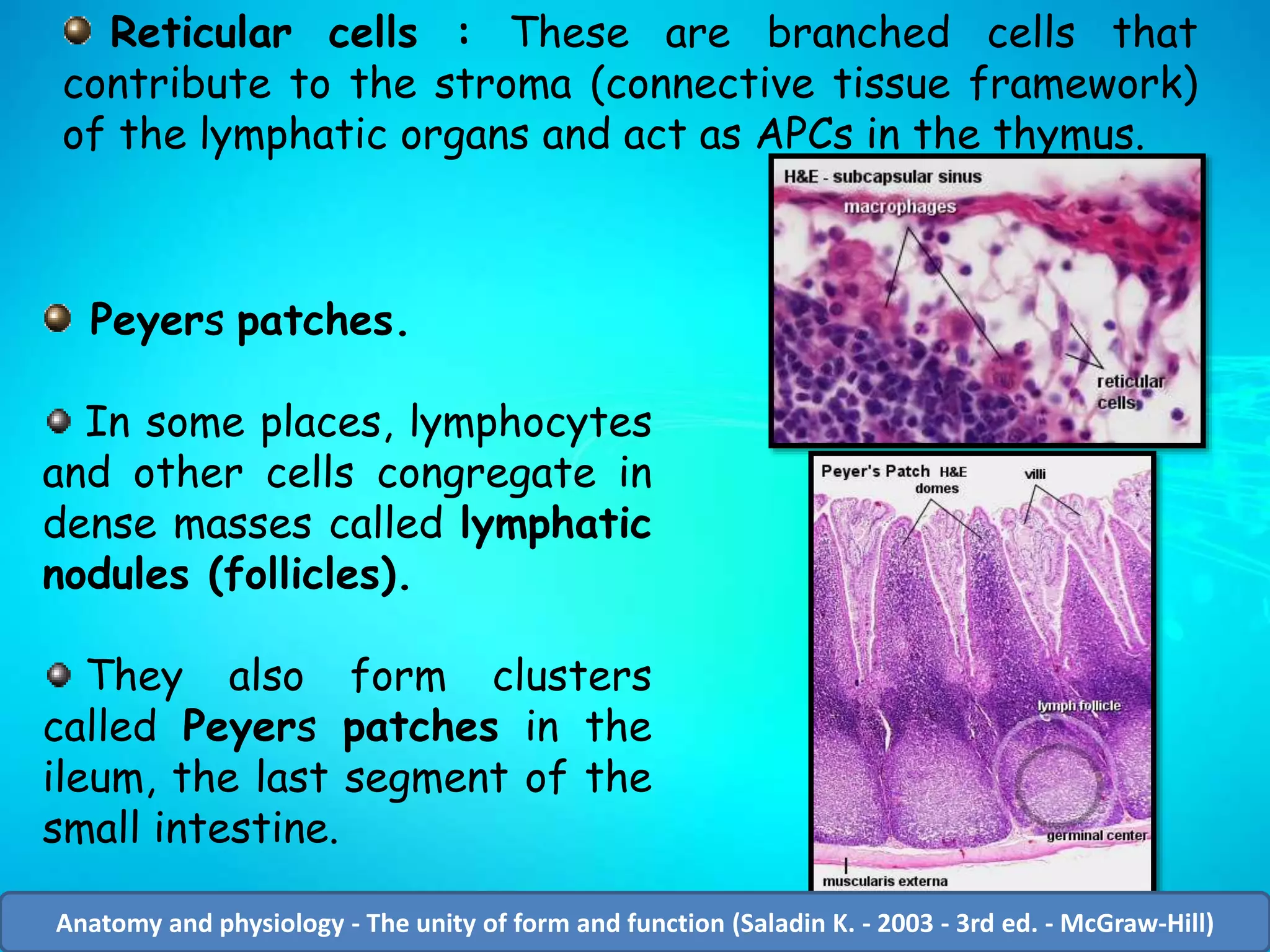 Lymphatic drainage of head and neck | PPTX