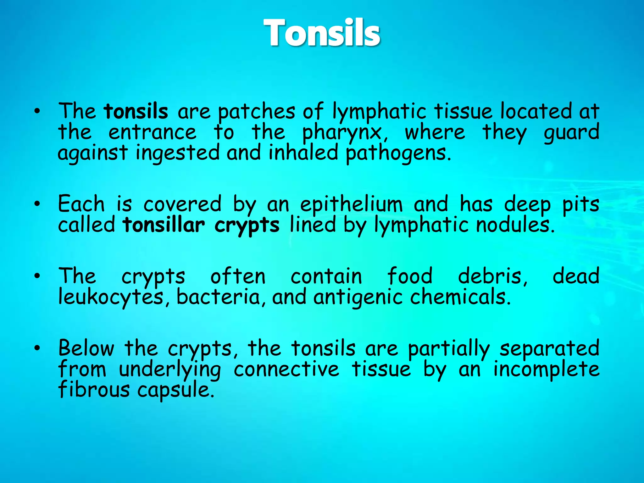 Lymphatic drainage of head and neck | PPTX