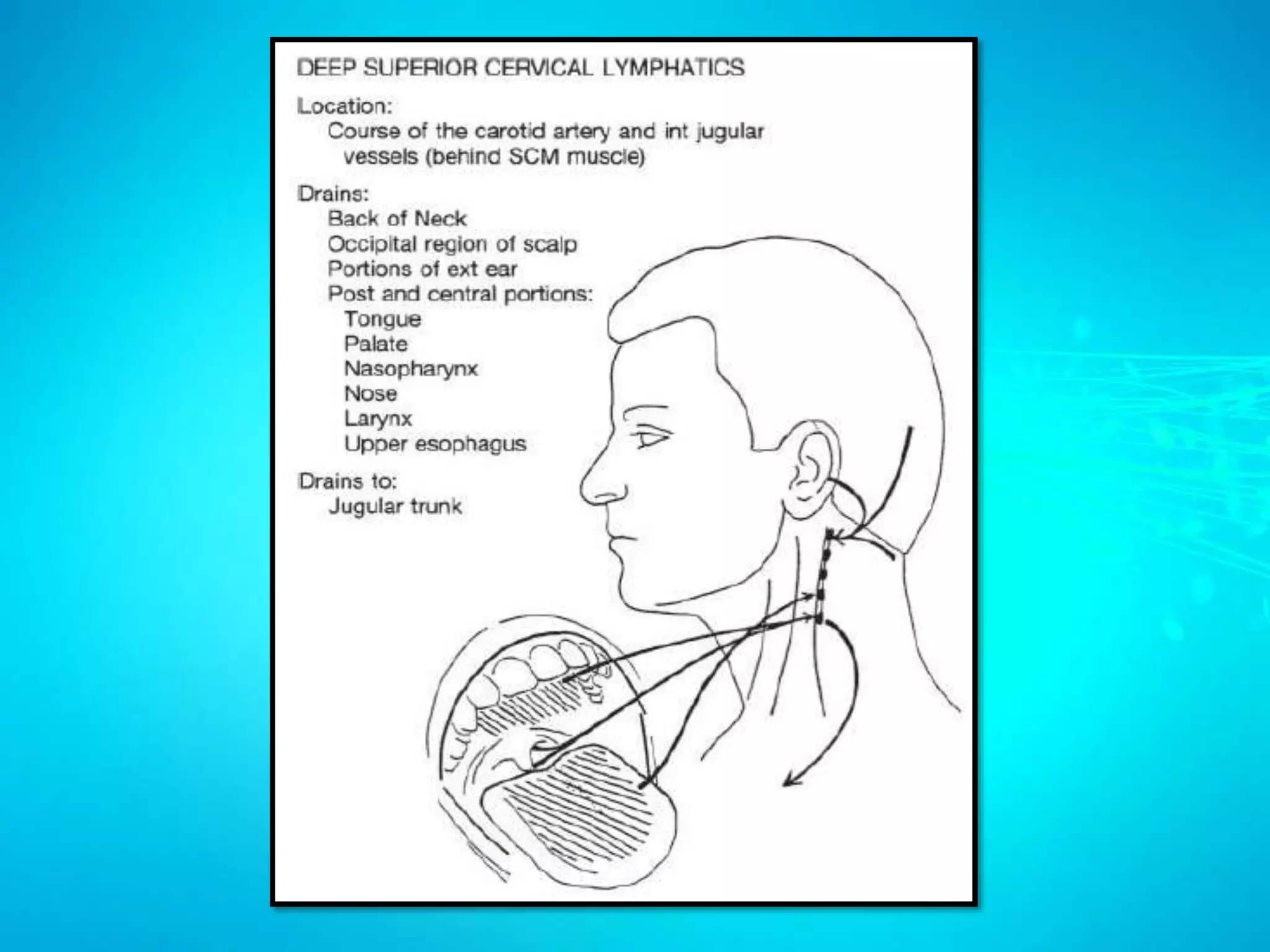 Lymphatic drainage of head and neck | PPTX