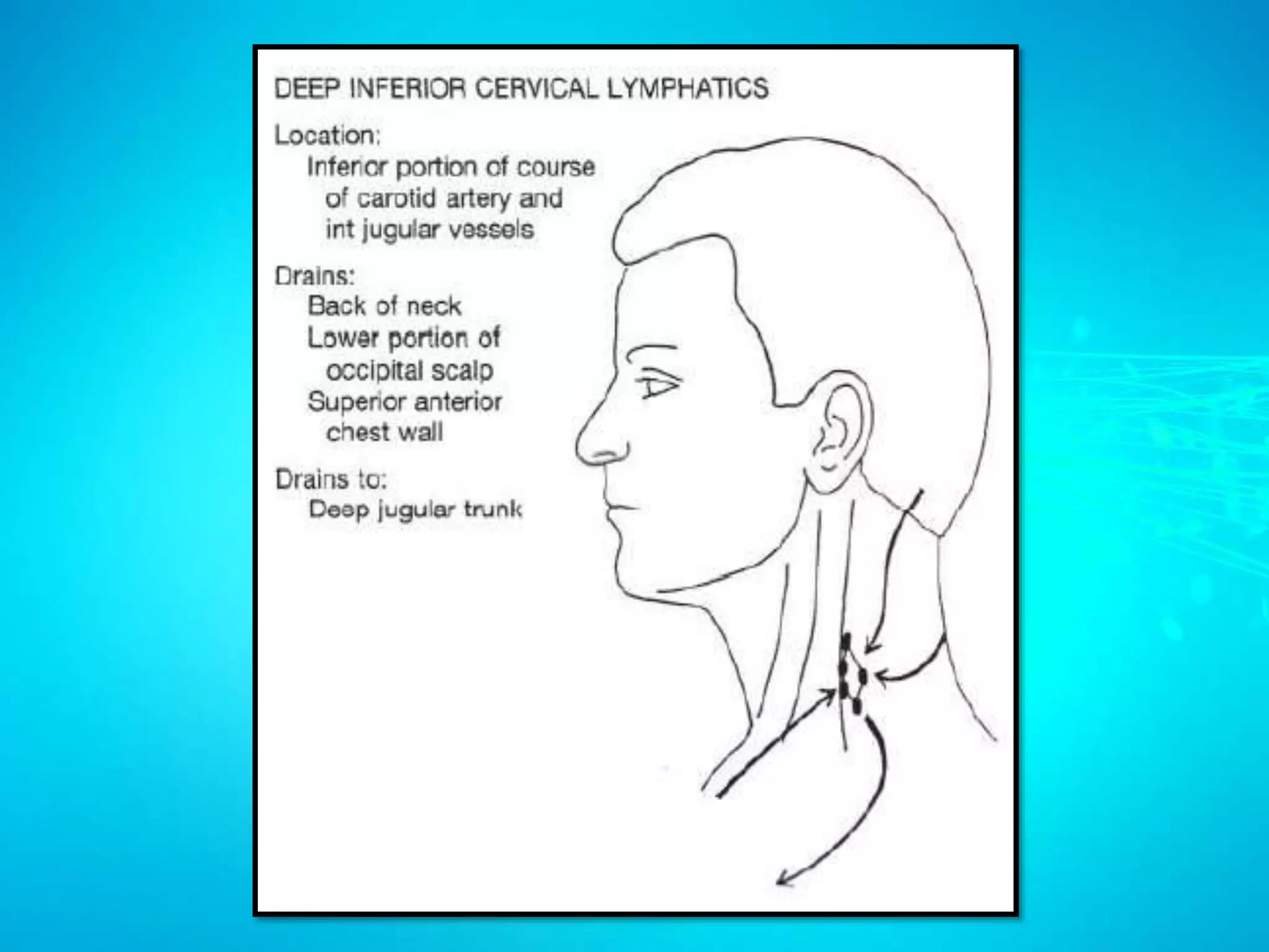Lymphatic drainage of head and neck | PPTX