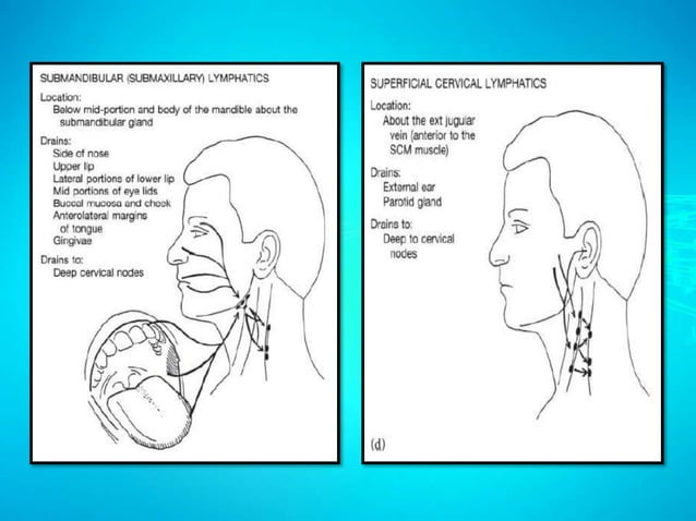 Lymphatic drainage of head and neck | PPTX