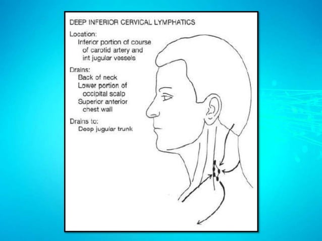 Lymphatic drainage of head and neck | PPTX