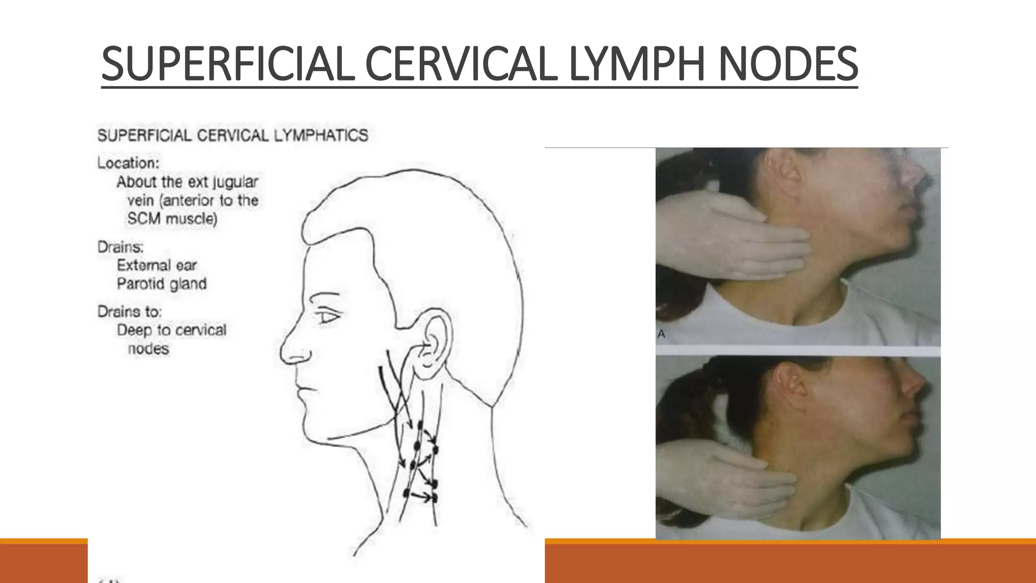 Lymphatic drainage of head and neck | PPTX