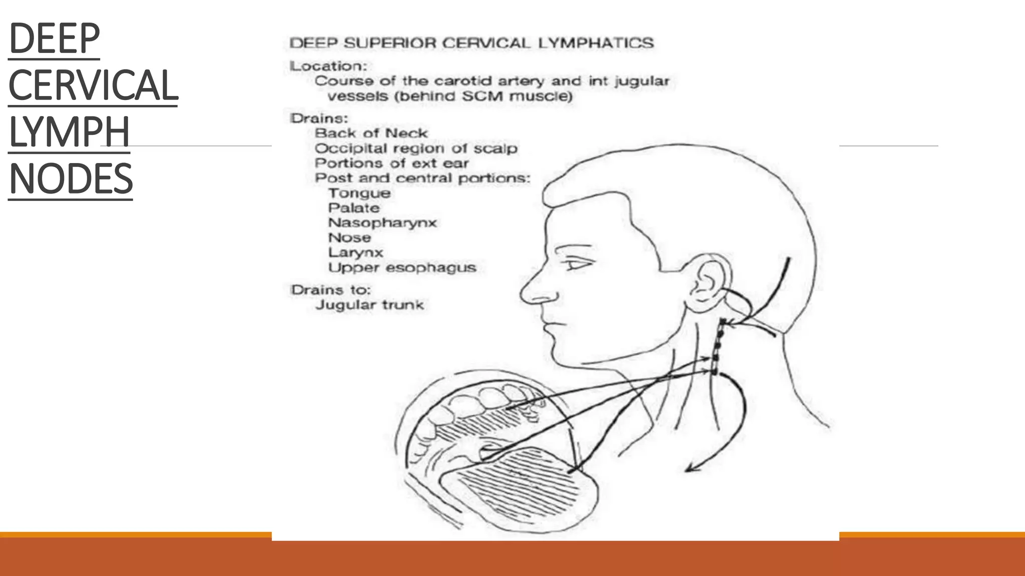 Lymphatic drainage of head and neck | PPTX