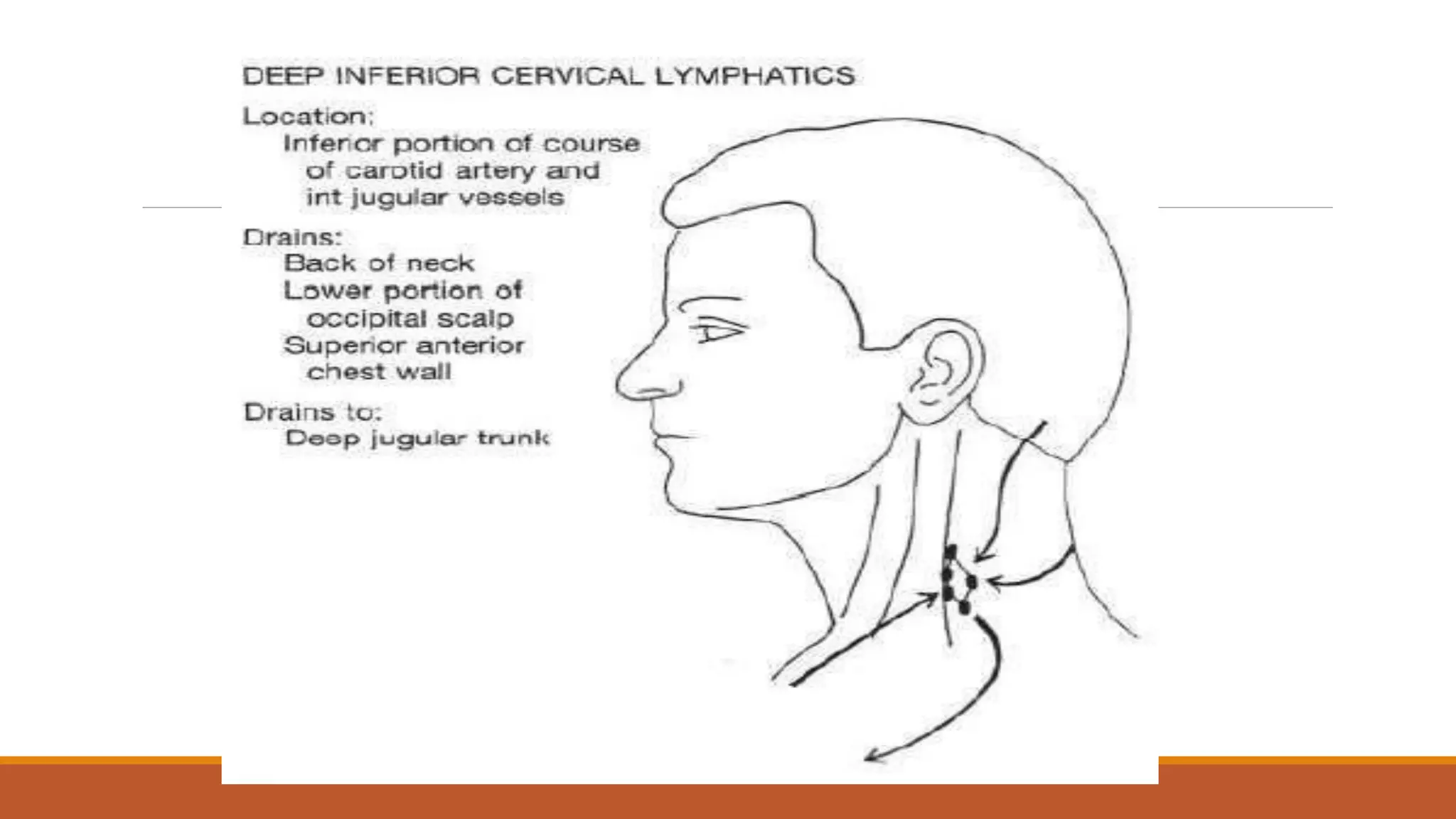 Lymphatic drainage of head and neck | PPTX
