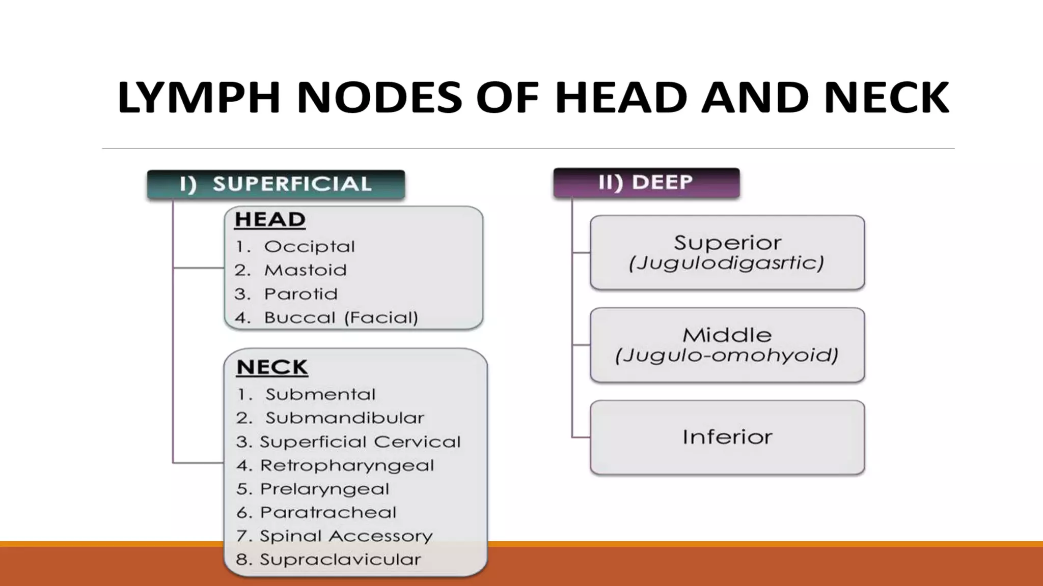 Lymphatic drainage of head and neck | PPTX