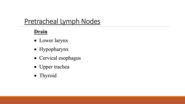 Lymphatic drainage of head and neck | PPTX | Ear, Nose and Throat ...