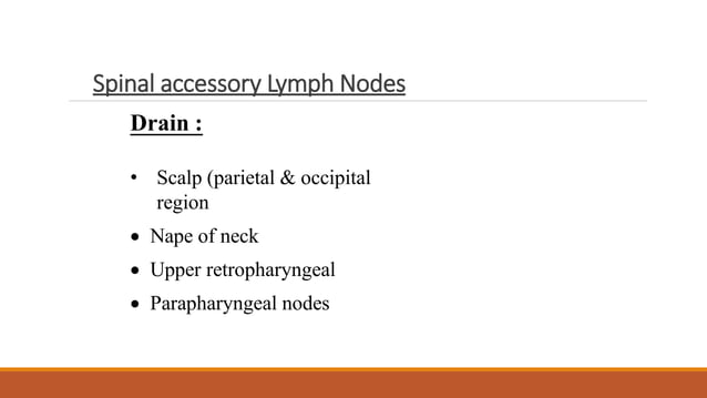 Lymphatic drainage of head and neck | PPTX | Ear, Nose and Throat ...