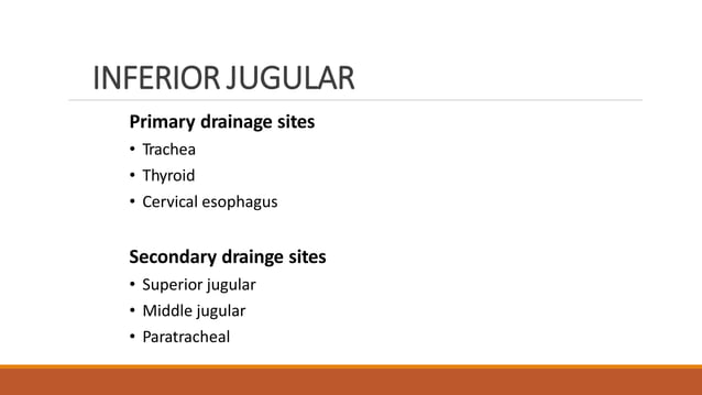 Lymphatic drainage of head and neck | PPTX | Ear, Nose and Throat ...