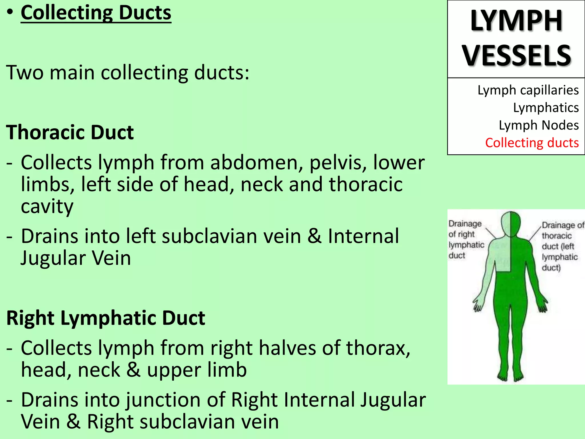 Lymphatic drainage of head and neck | PPTX