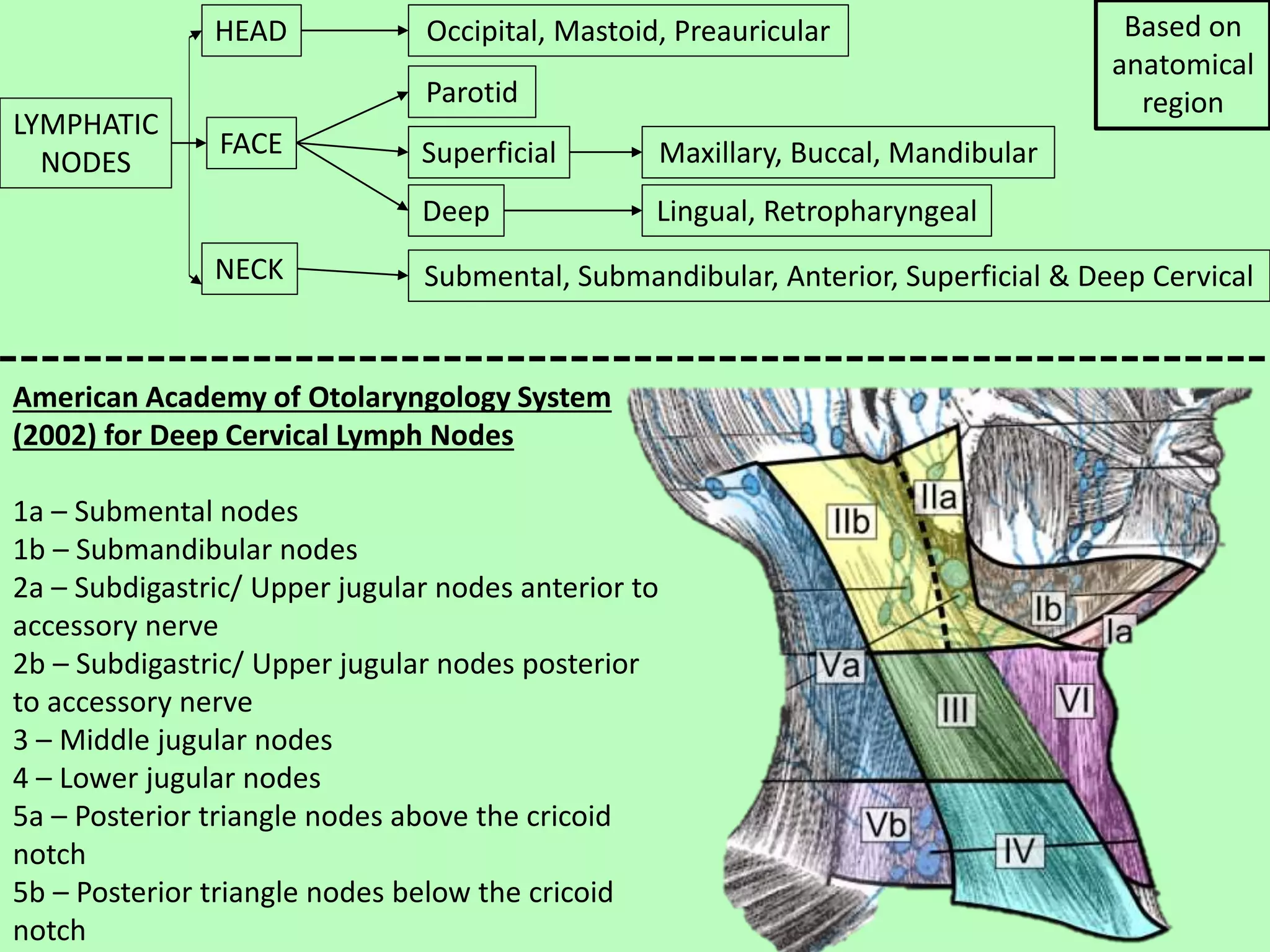 Lymphatic drainage of head and neck | PPTX