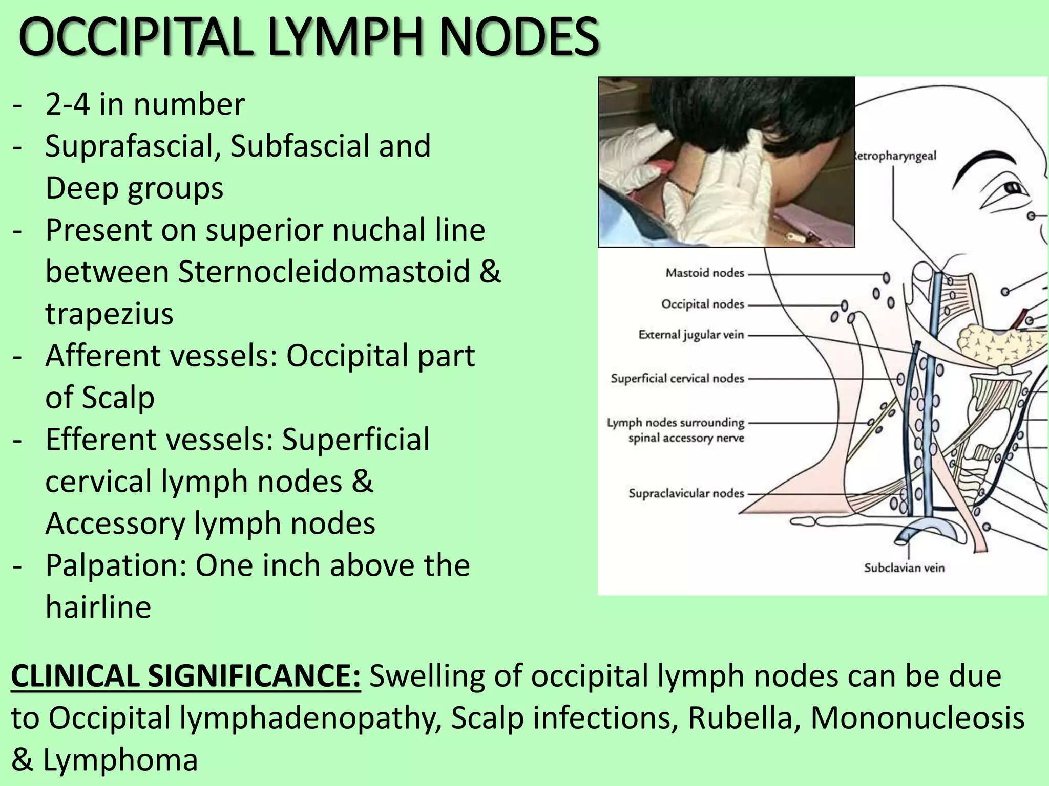 Lymphatic drainage of head and neck | PPTX