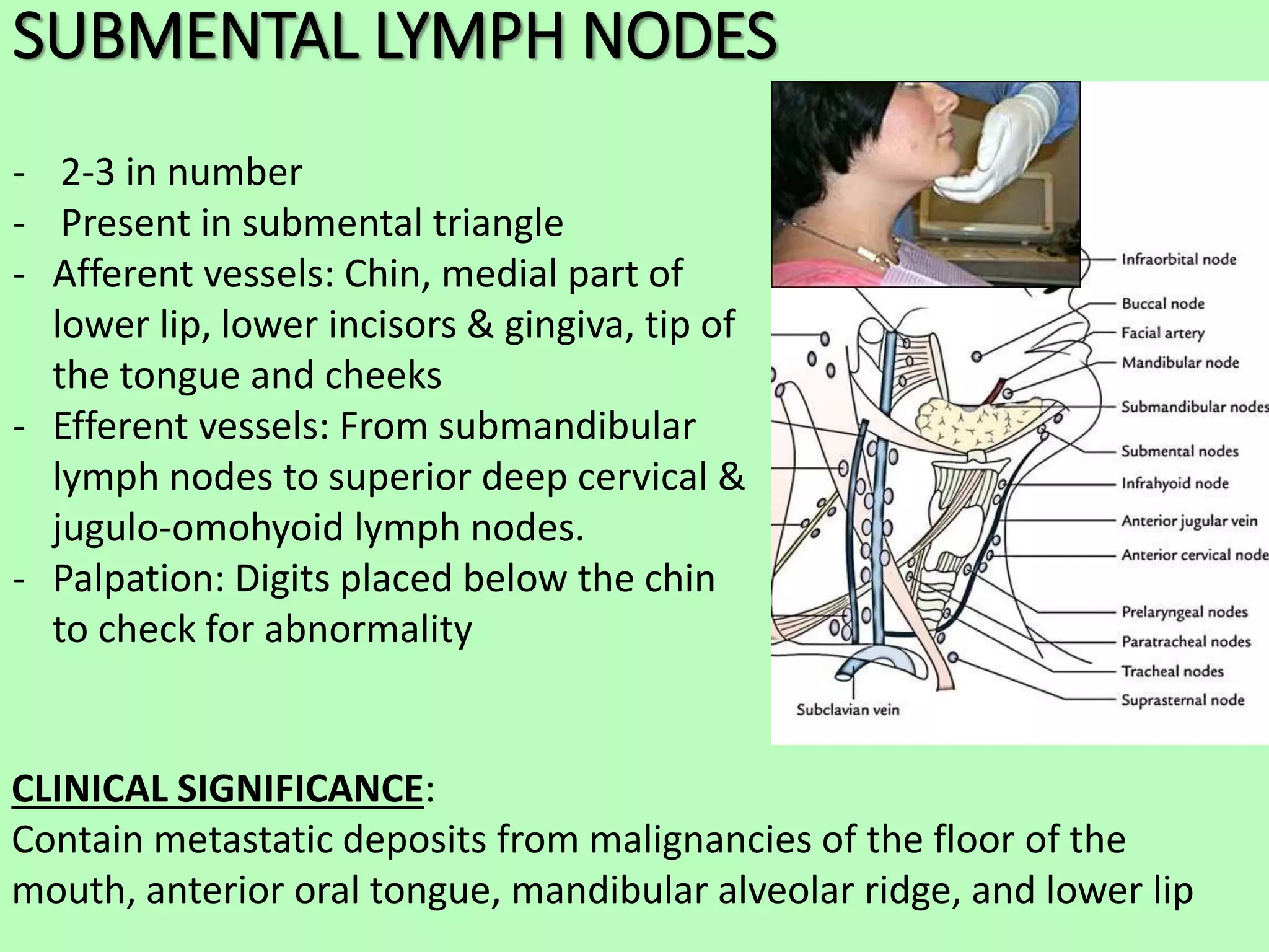 Lymphatic drainage of head and neck | PPTX