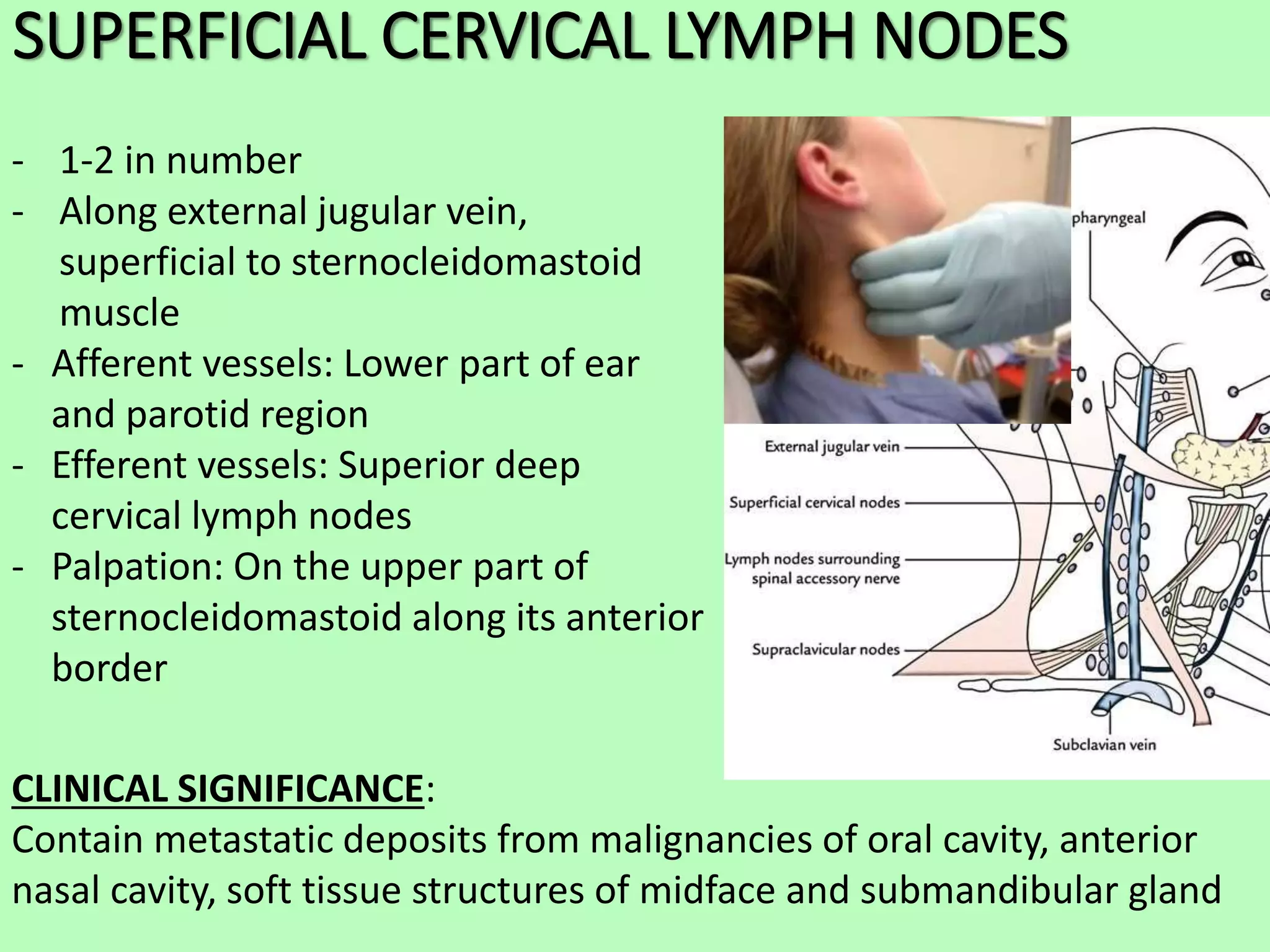 Lymphatic drainage of head and neck | PPTX