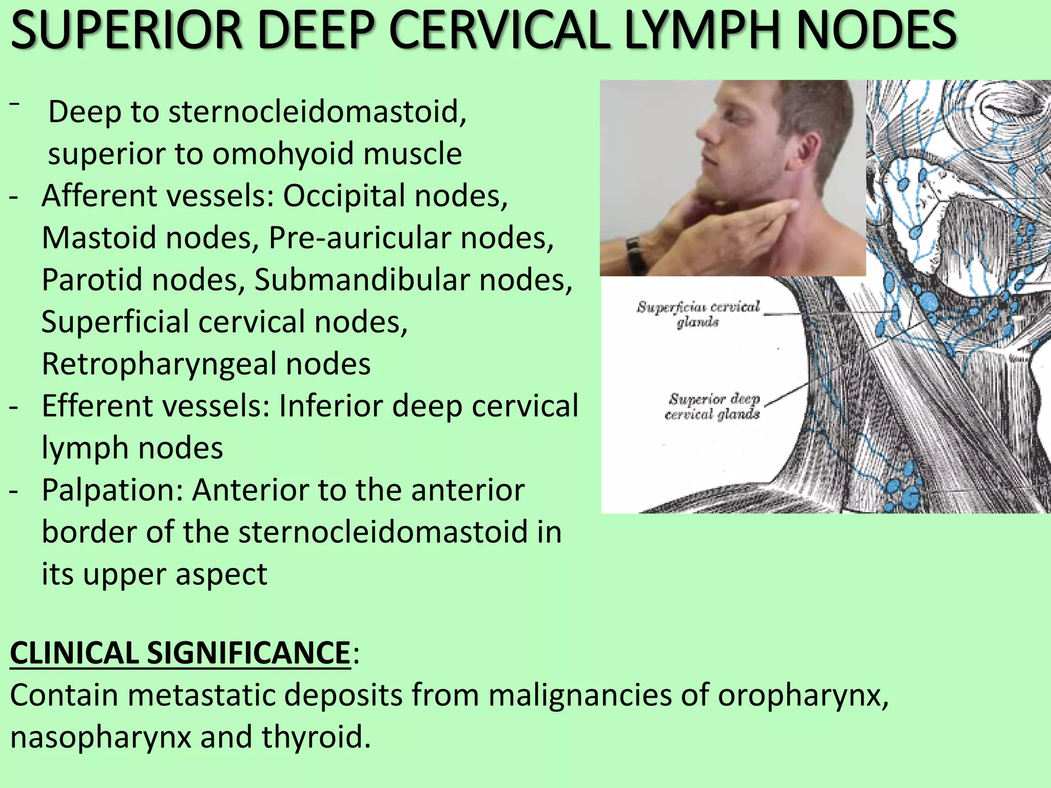 Lymphatic drainage of head and neck | PPTX
