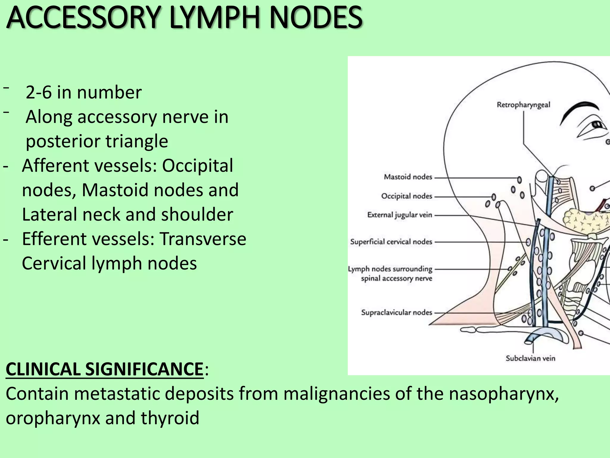 Lymphatic drainage of head and neck | PPTX
