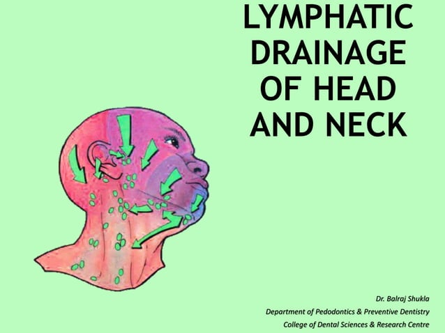 Lymphatic drainage of head and neck | PPTX | Ear, Nose and Throat ...