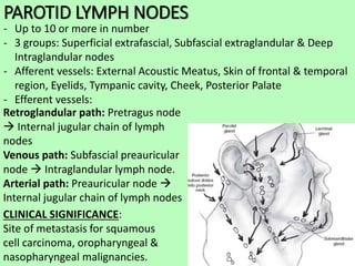 Lymphatic drainage of head and neck | PPTX