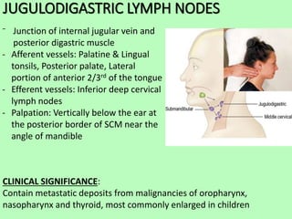 Lymphatic drainage of head and neck | PPTX