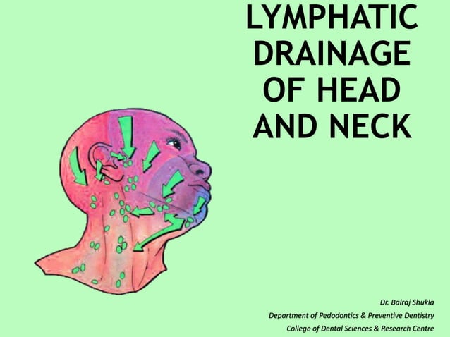 Lymphatic drainage of head and neck | PPTX | Ear, Nose and Throat ...