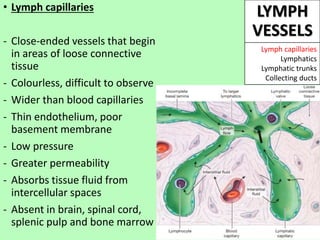 Lymphatic drainage of head and neck | PPTX