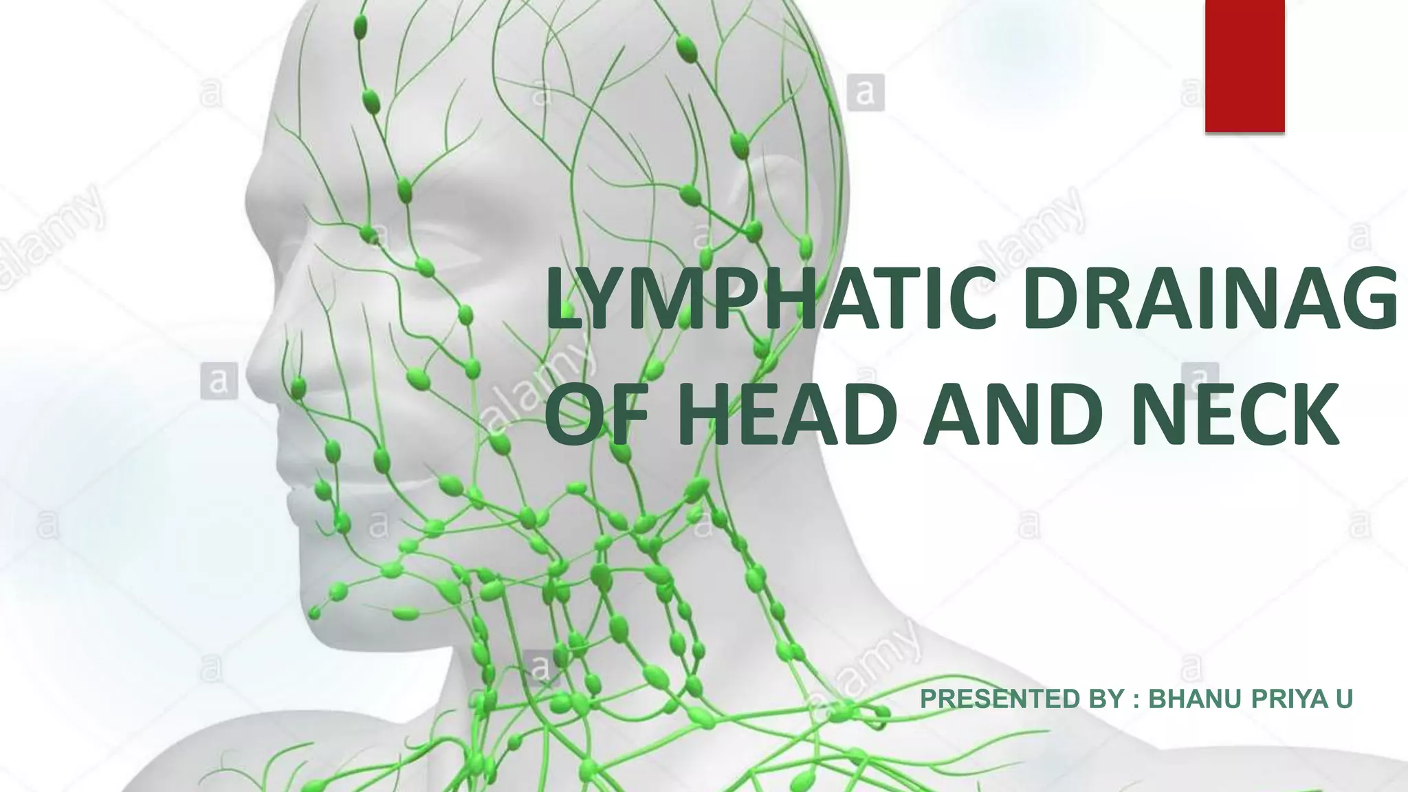 Lymphatic drainage of head and neck | PPTX