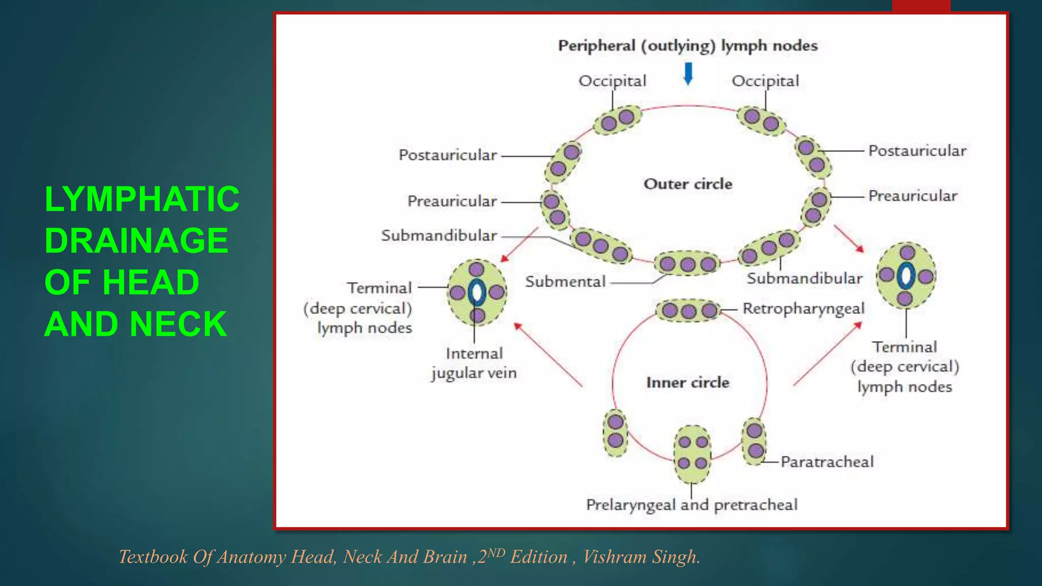 Lymphatic drainage of head and neck | PPTX