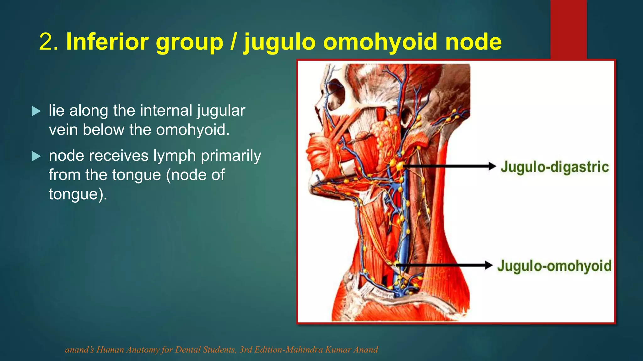 Lymphatic drainage of head and neck | PPTX