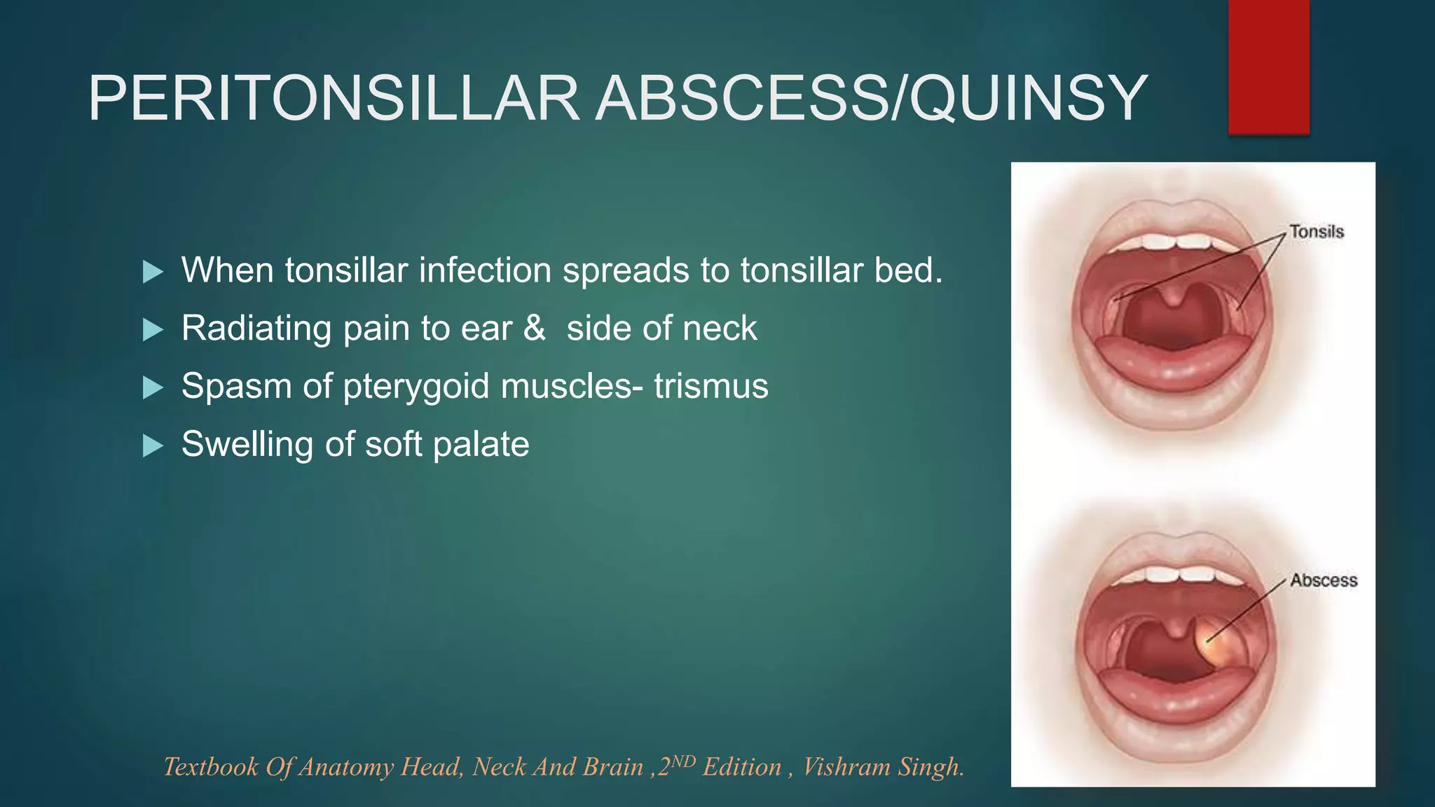 Lymphatic drainage of head and neck | PPTX