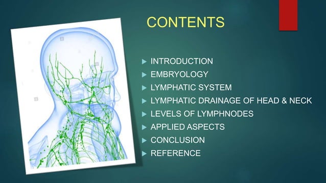 Lymphatic drainage of head and neck | PPTX | Ear, Nose and Throat ...